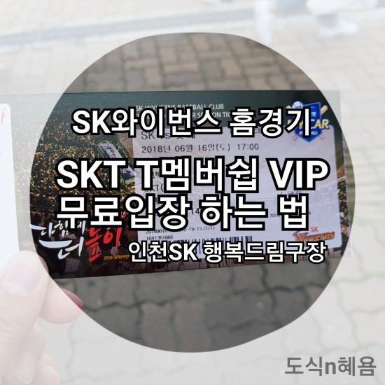 SK와이번스 홈경기 SKT T멤버쉽 VIP 무료입장 하는 법 : 네이버 블로그