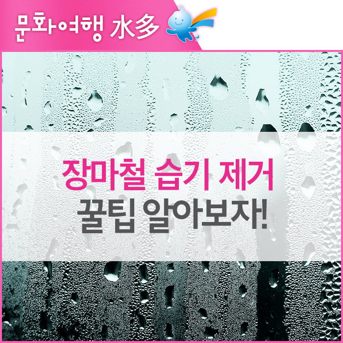 장마철 습기 제거 꿀팁 알아보자 네이버 블로그