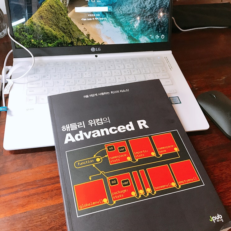[Book_Review] 해들리 위컴의 Advanced R (정우준 역, 제이펍) : 네이버 블로그