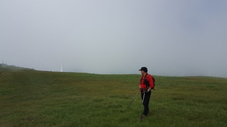 채근담 _ 전집 _ 46/225 탐욕과 집착은 위기를 부르느니라 : 네이버 블로그