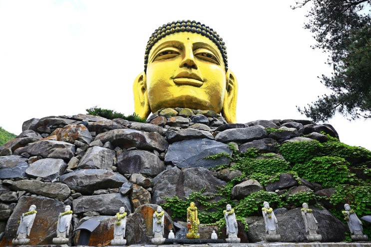 용인 가볼만한곳 와우정사경기도 이색 사찰 네이버 블로그