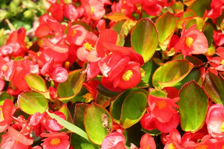 2018년 6월 25일 오전 2시 28분 : 네이버 블로그