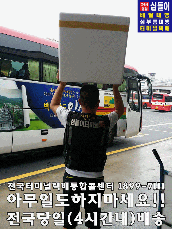 광시출발터미널↔동서울도착터미널 동서울터미널↔광시정류소 동서울↔광시 수하물 소화물 택배 캐리어 여권 생물 반찬 자전거 배달