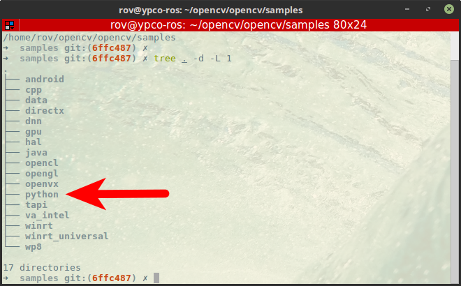 OpenCV 파이썬 샘플 코드, 인식된 얼굴에 모자이크 효과 : 네이버 블로그