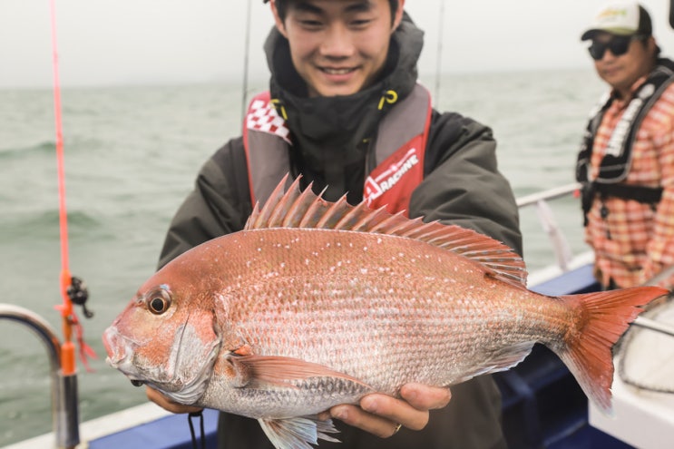 장마 中 폭우를 뚫고 서해 참돔 러버지깅 낚시 ( Angler Spirit ) - 아쿠아마린호 : 네이버 블로그