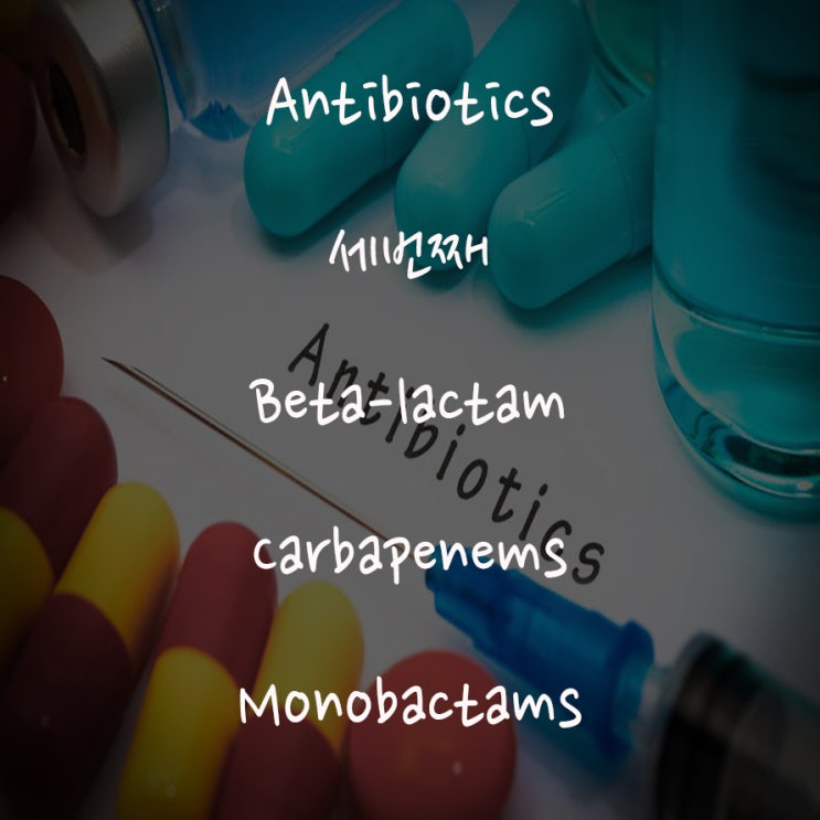 Antibiotics. 세번째 Beta-Lactam - Carbapenems, Monobactams : 네이버 블로그