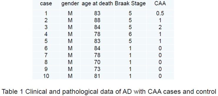 [Bruker MALDI TOF/TOF] rapifleX를 이용한 알츠하이머 질환 뇌 이미징 분석의 시각화 : 네이버 블로그
