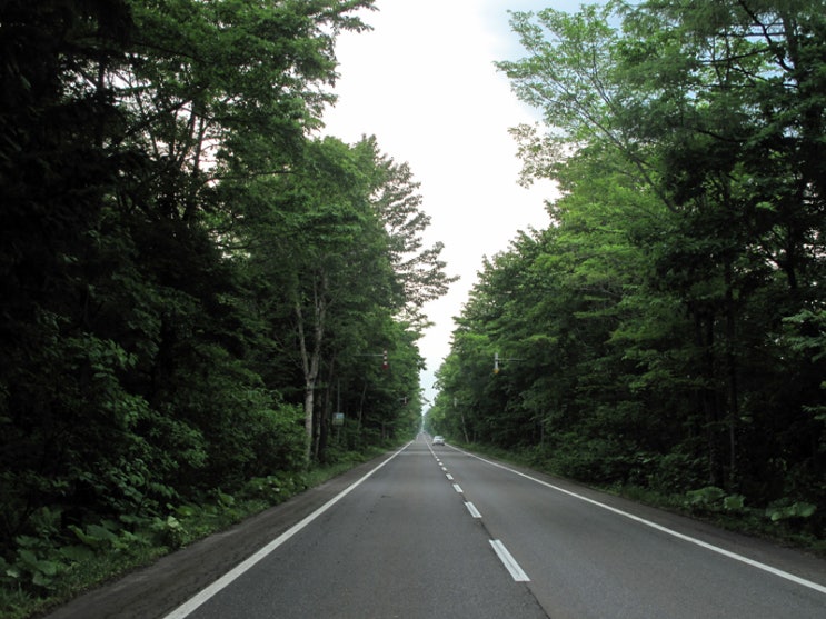 [내차로 일본여행] D84-86: 홋카이도 시코쓰호수--> 치토세--> 집으로 : 네이버 블로그