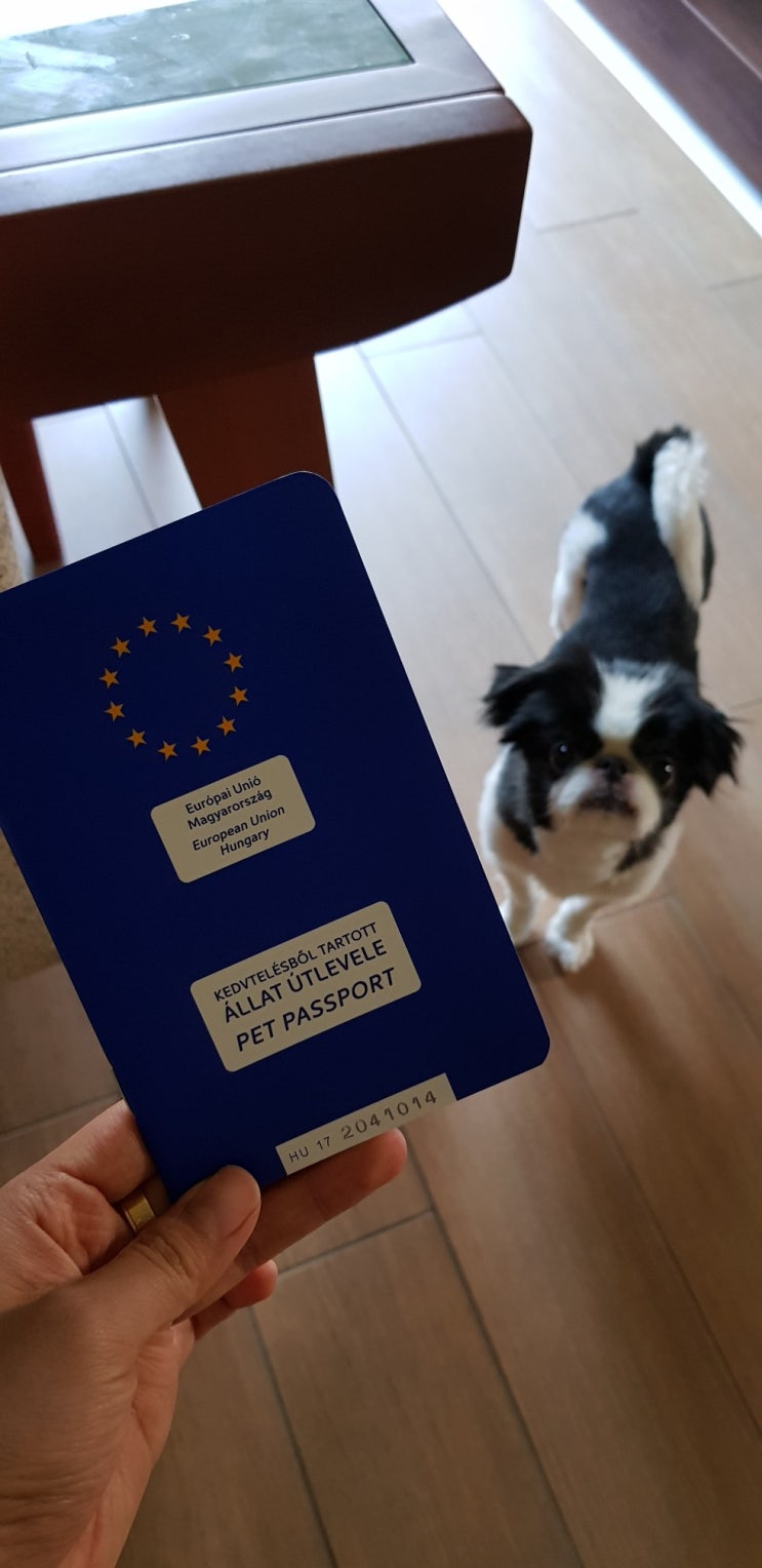 [부다페스트] 강아지여권 동물여권 EU pet passport : 네이버 블로그