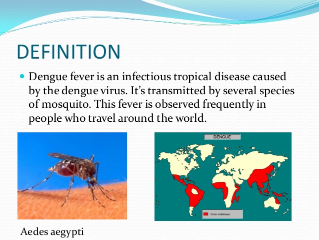 뎅기열 (dengue fever) : 네이버 블로그