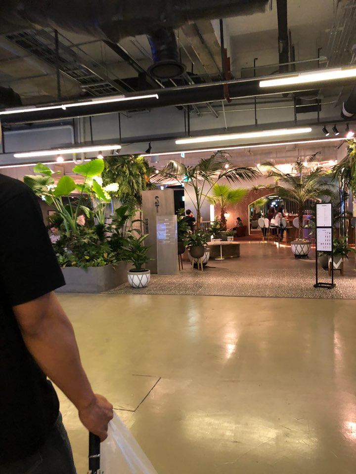 삼성 코엑스 카페 : 스템 커피 stem coffee : 네이버 블로그