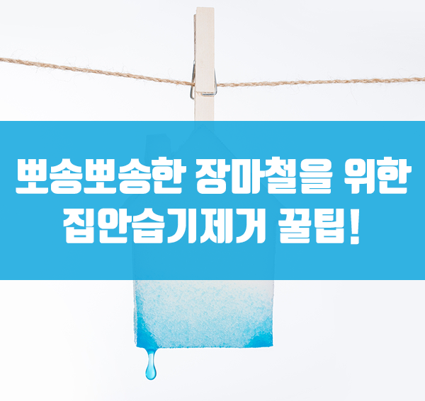 장마철 집안 습기제거 꿀팁 장마철을 쾌적하고 뽀송뽀송하게 보내는 5가지 방법 네이버 블로그
