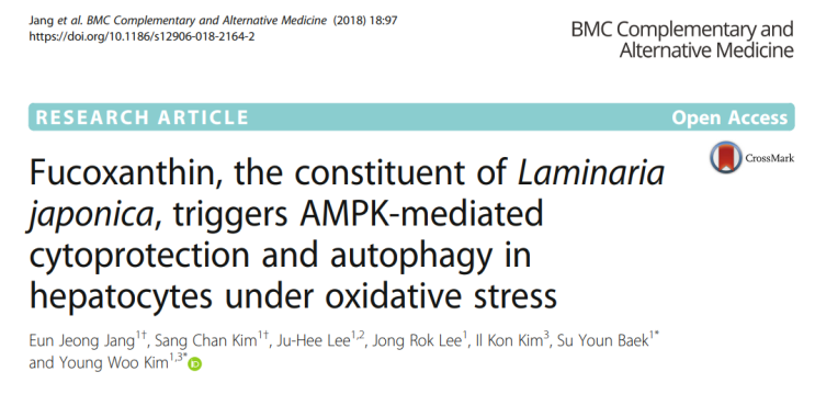 [본초] 곤포(昆布)의 활성성분 fucoxanthin의 간보호 효과 : AMPK 매개 세포보호 및 자가소화작용↑ (세포실험 ...
