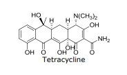 Tetracycline Analogue Set [BIA-MS5012]_Bioaustralis - 코아사이언스 : 네이버 블로그