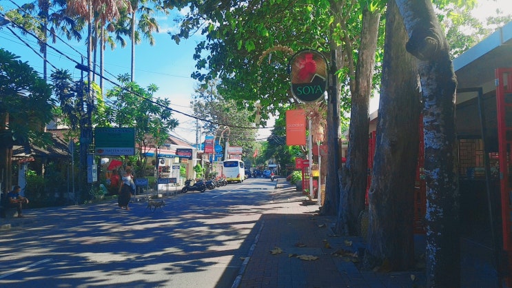 사누르(Sanur)에서 우붓이동/ 프라마 버스(Perama Bus) : 네이버 블로그