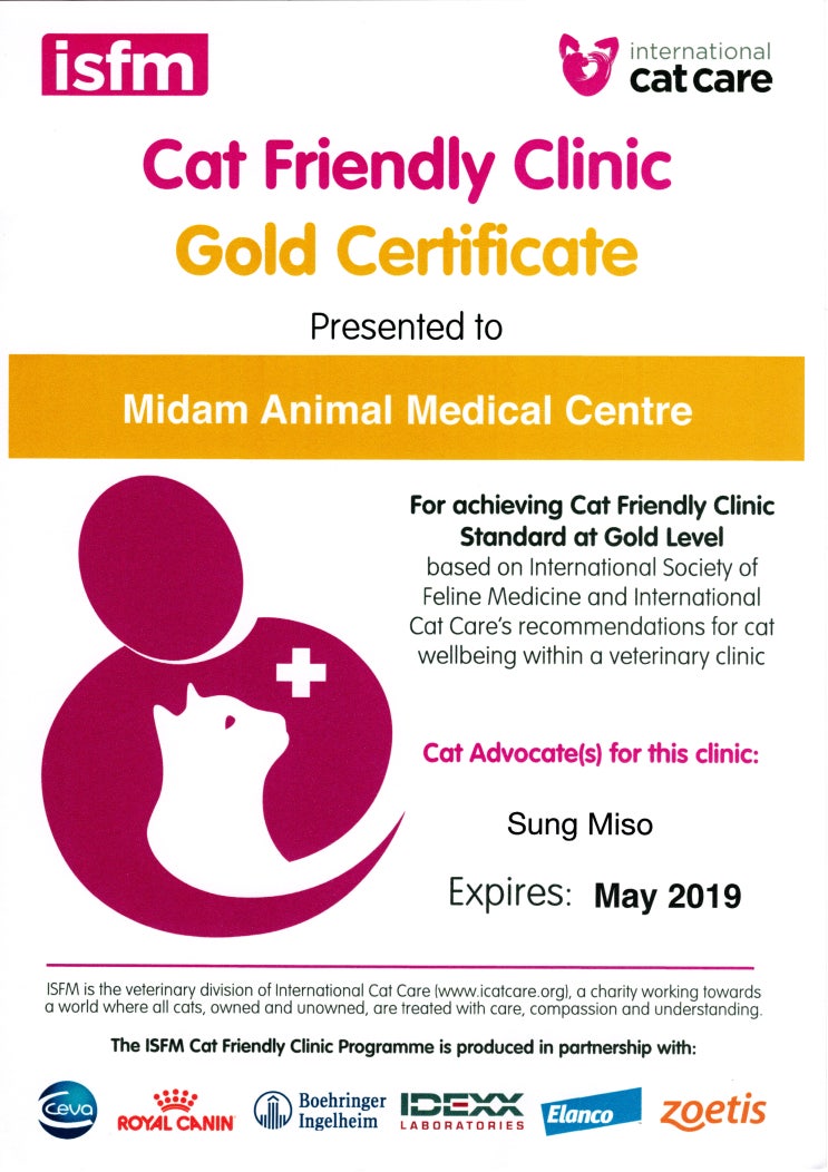[별내 미담동물병원] ISFM 고양이 친화 인증병원!!! : 네이버 블로그