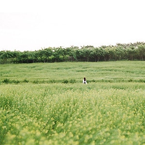 [film] 당진 아그로랜드 태신목장 : 네이버 블로그
