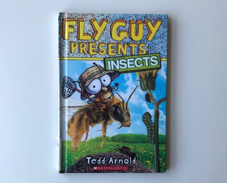 초등 어린이 자연관찰 원서 Fly Guy presents insects 플라이가이 곤충편 : 네이버 블로그