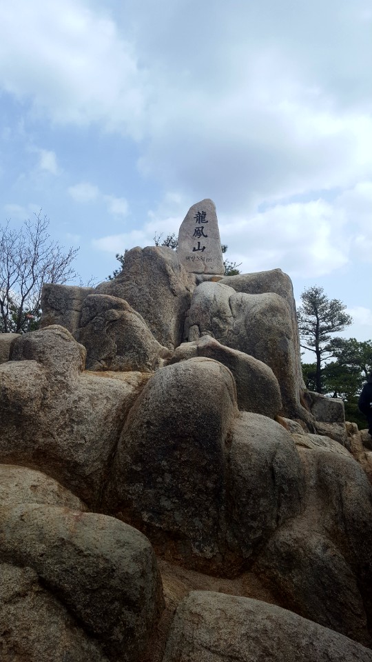 홍성 용봉산 예산 예당저수지 잔디갂기홍성 바담채펜션 충남펜션 낚시 국밥집 조각공원 여름휴가추천 맛집추천 간월도