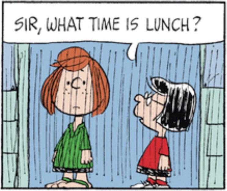 캠프_비 / Welcome to PEANUTS, Marcie! / 페퍼민트 패티, 마시 : 네이버 블로그