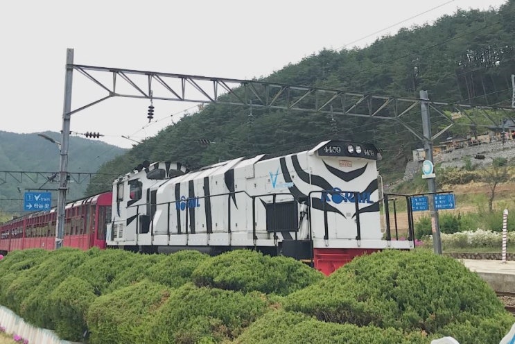 백두대간 협곡열차 V-트레인 추억과 낭만을 싣고 떠나는 기차여행 : 네이버 블로그