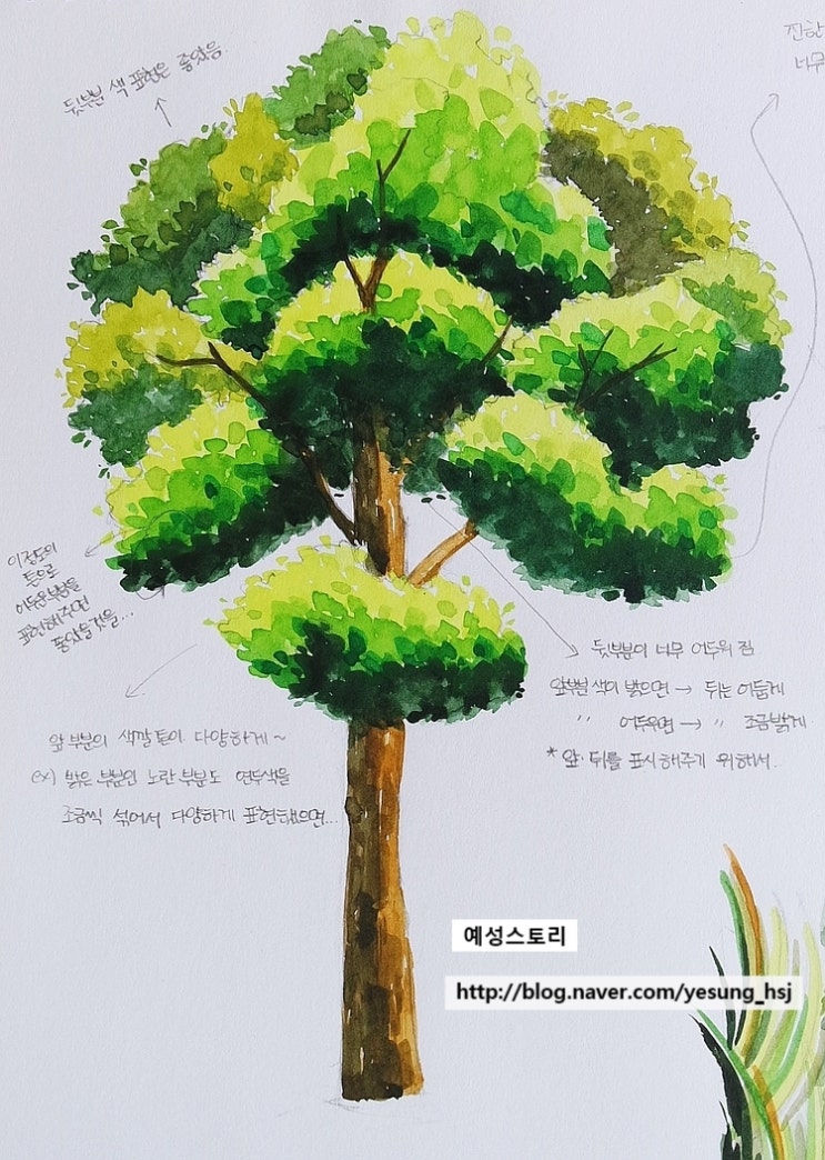손그림 그리기 수채화 기초 연습 나무 그리기 잎이 풍성한 나무를 그리고 수채화 물감으로 채색하기 네이버 블로그