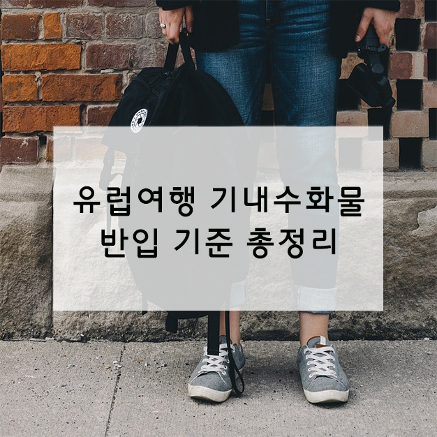 유럽여행 기내수화물 반입 기준 총정리 네이버 블로그