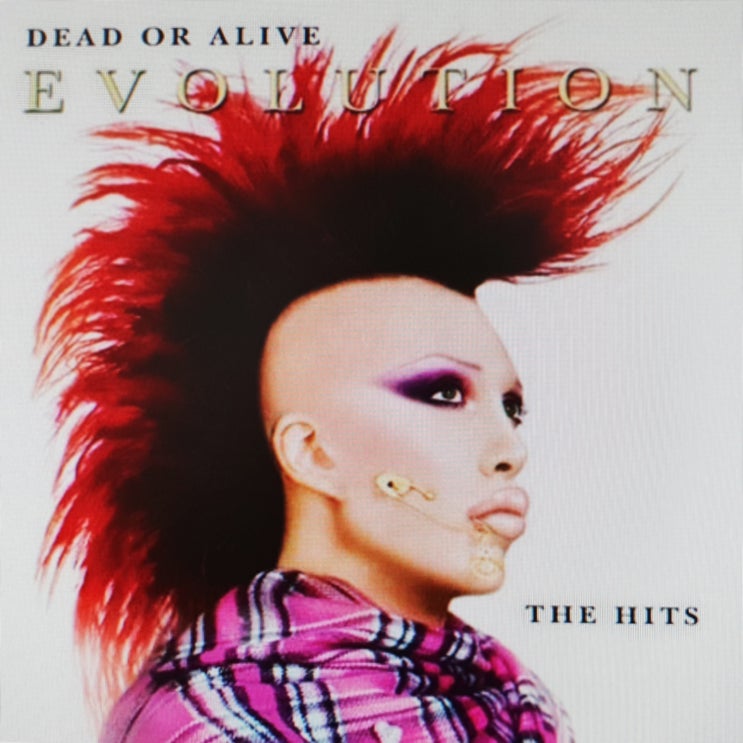 Evolution - The Hits 2003 데드 오어 얼라이브(Dead or Alive) : 네이버 블로그