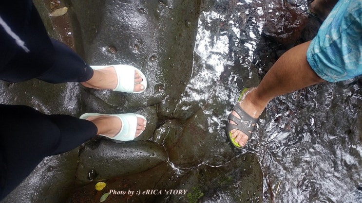 제주여행 얼음물같이 차가운 돈내코계곡에서 물놀이하기 ^^ : 네이버 블로그