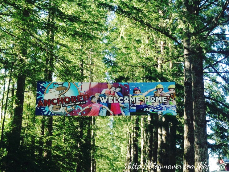 [ Summer Camp ] 2018 Stillwood Camp, Blast 2, 스틸우드 썸머캠프, 칠리왁캠프, 캐나다캠프 ...