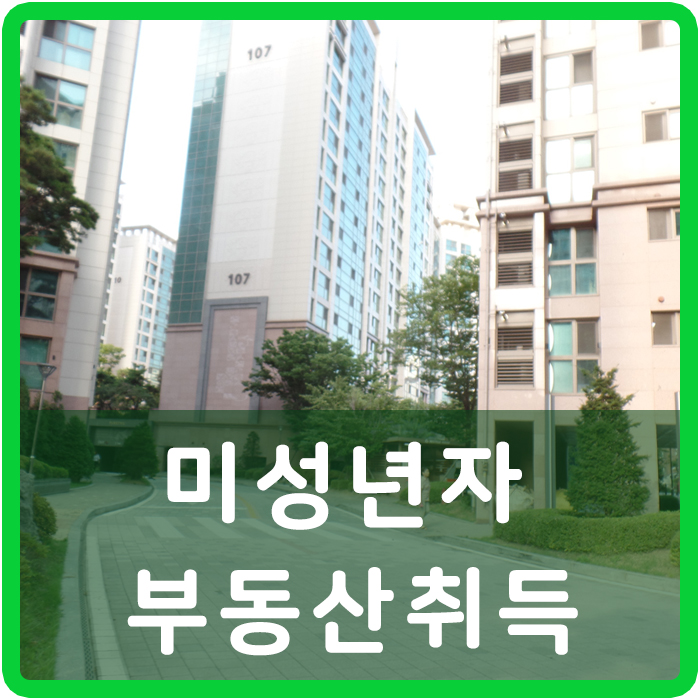미성년자 부동산 취득 시 참고사항 네이버 블로그