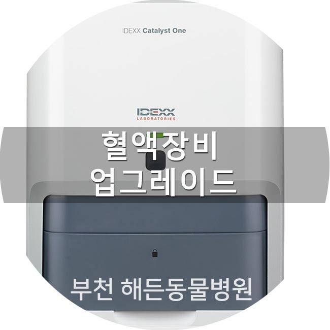 Catalyst One Chemistry Analyzer (IDEXX 아이덱스사 카탈리스트원) / 24시 해든동물메디컬센터 장비 ...
