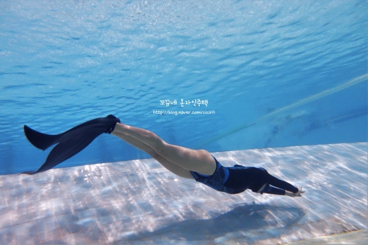 인어핀을 사보자~ Mahina Mermaid fin : 네이버 블로그