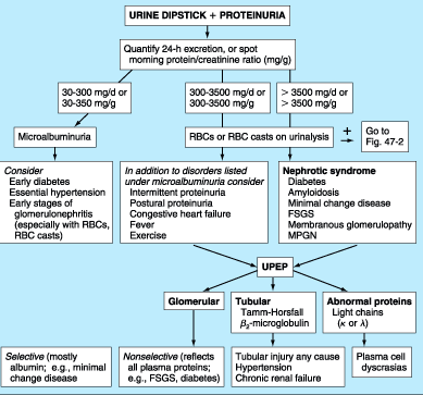 단백뇨 원인 및 접근 (Proteinuria) : 네이버 블로그