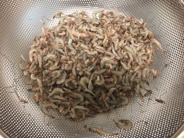 민물새우깡만들기 : 네이버 블로그