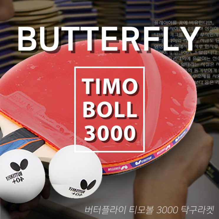 버터플라이 TIMO BOLL 3000 탁구 라켓 : 네이버 블로그