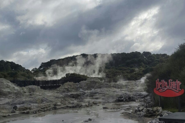 로토루아 헬스 게이트, Hell's Gate Geothermal Park and Mud Bath Spa : 네이버 블로그