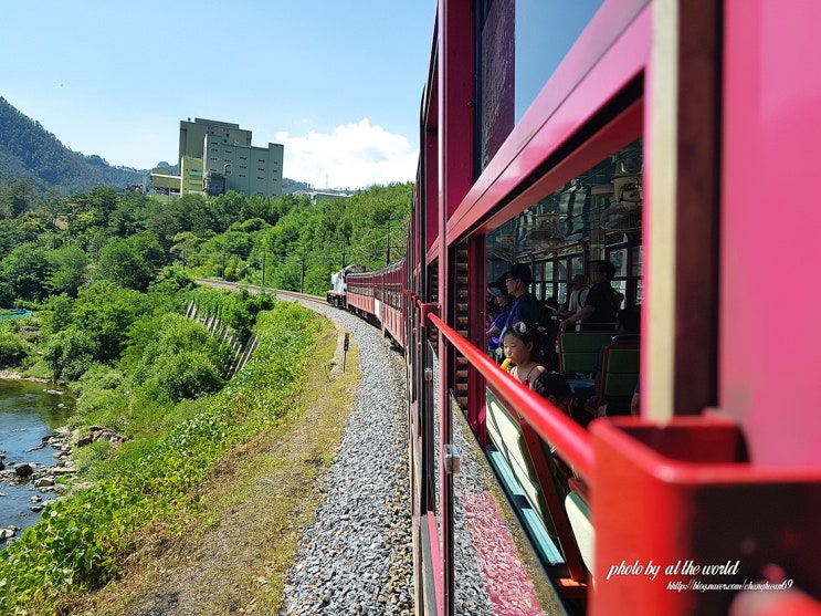 분천에서 철암까지 백두대간 협곡열차 V-Train : 네이버 블로그