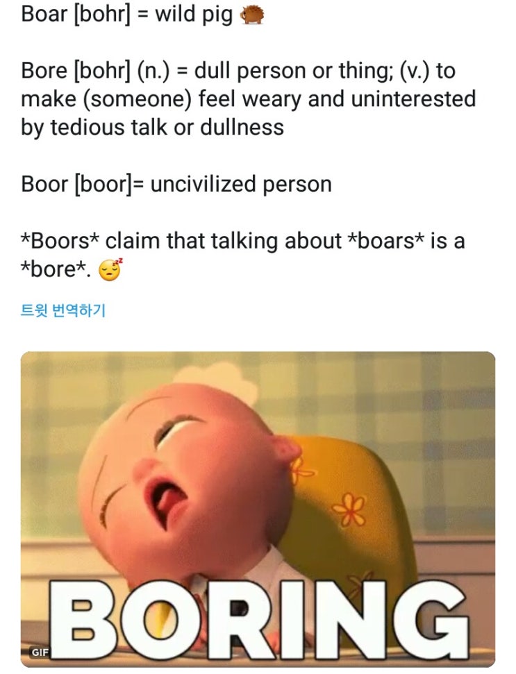 boar, bore, boor | 영어단어 : 네이버 블로그