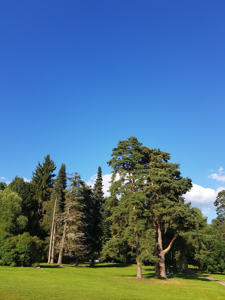 [핀란드 여행 ③] 탐페레(Tampere) 여행 1 : 피니키Pyynikki Ridge 하이킹, Villilansalmi 호수 ...
