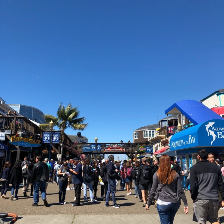 180806 샌프란시스코 Day 2 [ 피어 39, 페인티드 레이디스 ] : 네이버 블로그