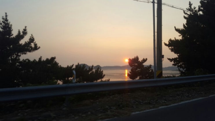서천 맛집.서천에서 맛있는집. 뼈해장국 : 네이버 블로그