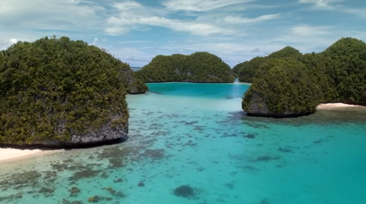 칸수상작# 팔라우 서약(The Palau Pledge) - 여권에 쓰는 환경보호 서약 : 네이버 블로그