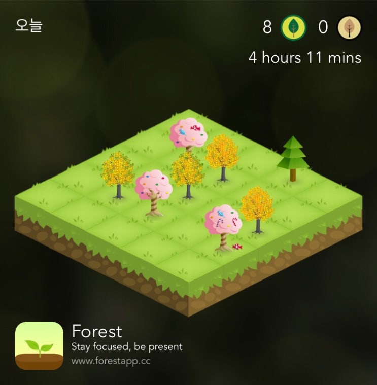 Forest app 추천... : 네이버 블로그