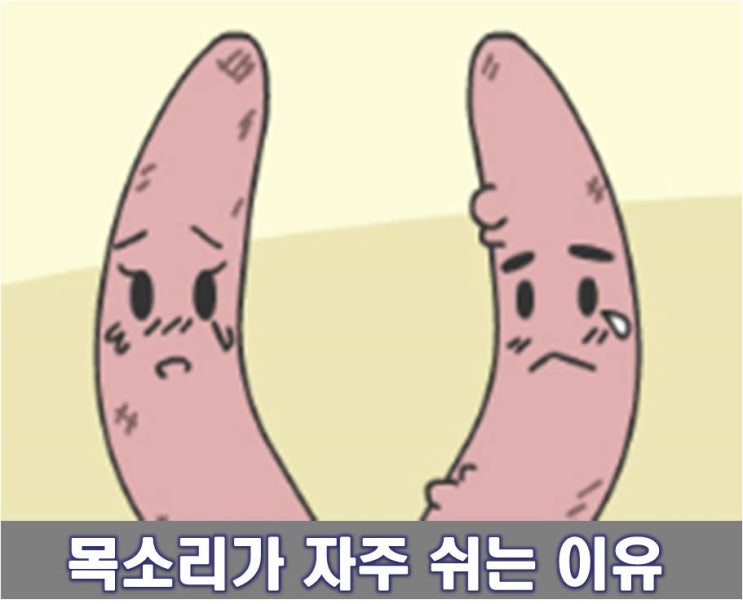 쉰목소리 원인 목이 자주 쉬어요 목소리 빨리 회복되는 방법은 다올한의원 산본점 네이버 블로그
