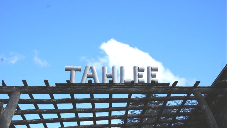 TAHLEE : 네이버 블로그