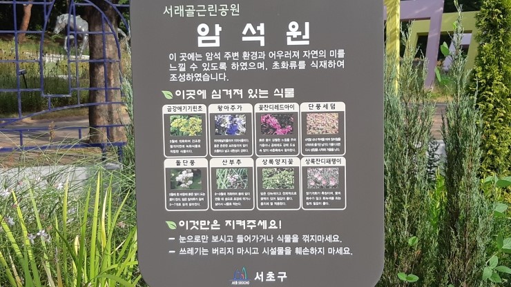 일요일 서래공원과 반포천 아침 산책 : 네이버 블로그