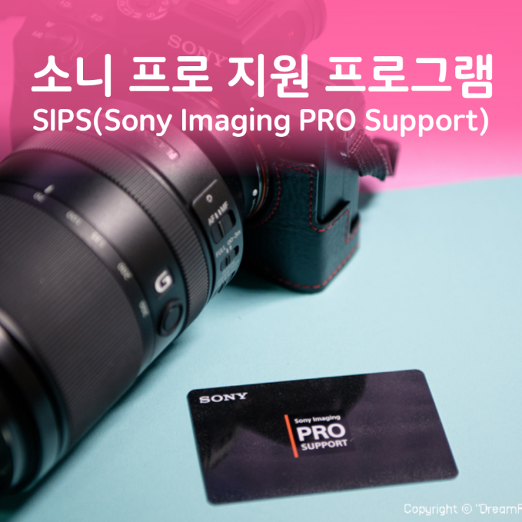 소니 프로 사진가 지원 프로그램 SIPS[Sony Imaging PRO Support] 선정 소식! : 네이버 블로그