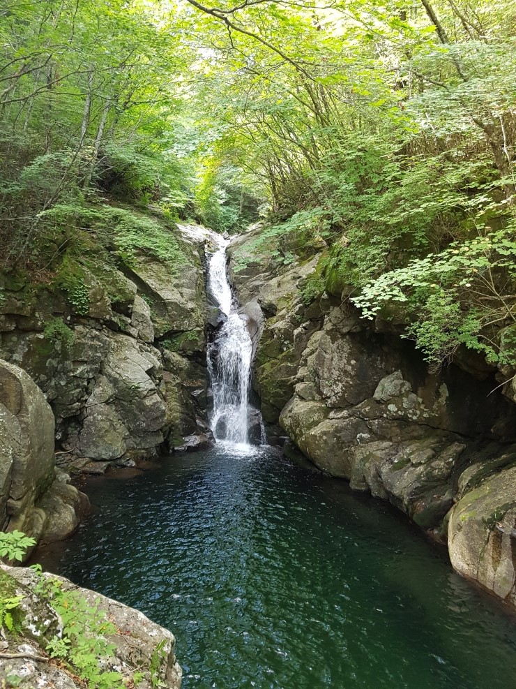 지리산 한신계곡/한신계곡에서 더위를 잊고 오다. : 네이버 블로그