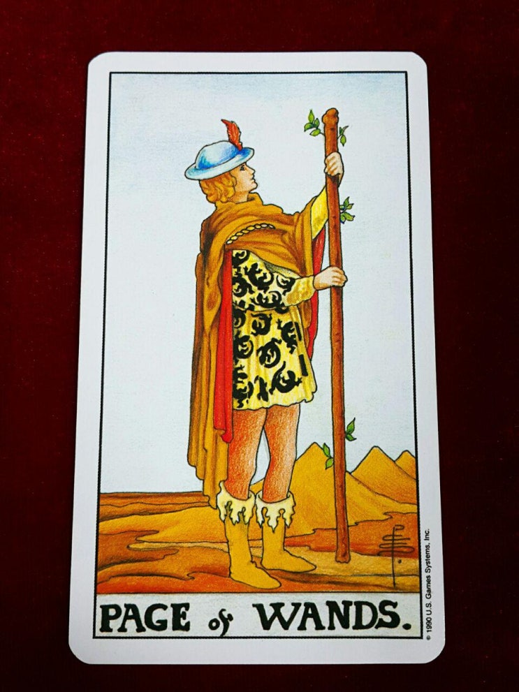 미러타로카드 - 마이너 지팡이 소년(page of wands) : 네이버 블로그